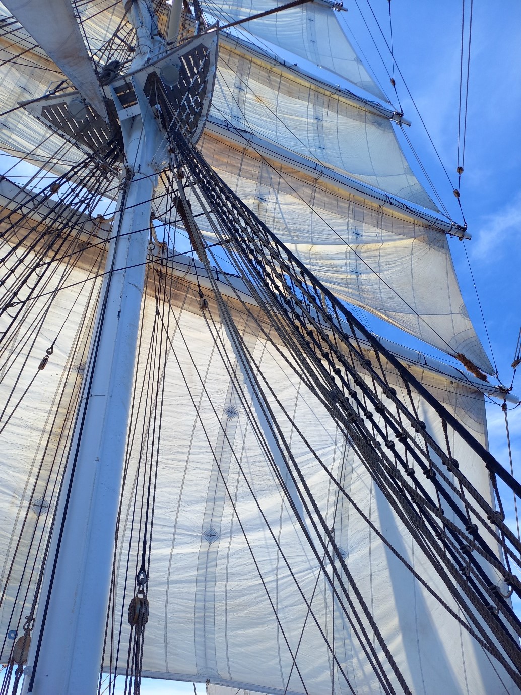 Circumnavigating the Earth through the “One Ocean Expedition ...